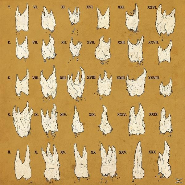 Yeesh | Yeesh - Confirmation Bias - (CD) Rock & Pop CDs - MediaMarkt