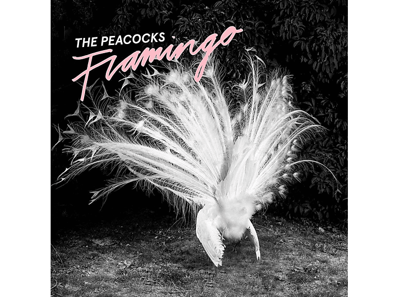 The Peacocks | The Peacocks-Flamingo - (CD) | MediaMarkt