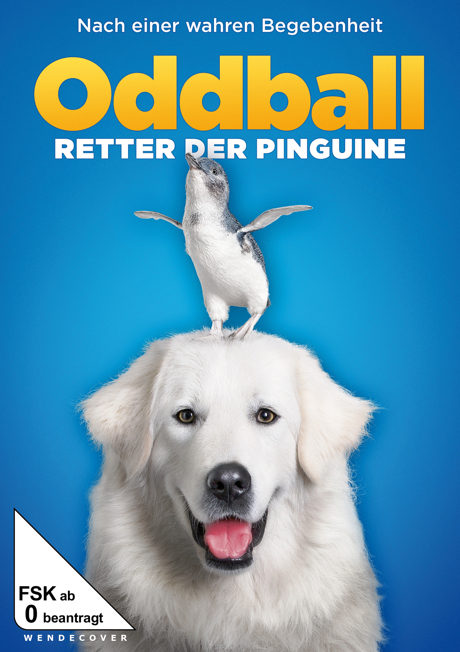 Oddball – Der Retter der Pinguine DVD auf DVD online kaufen | SATURN