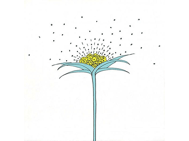 Mkwaju Ensemble | KI-Motion - (CD) Mkwaju Ensemble auf CD online kaufen ...