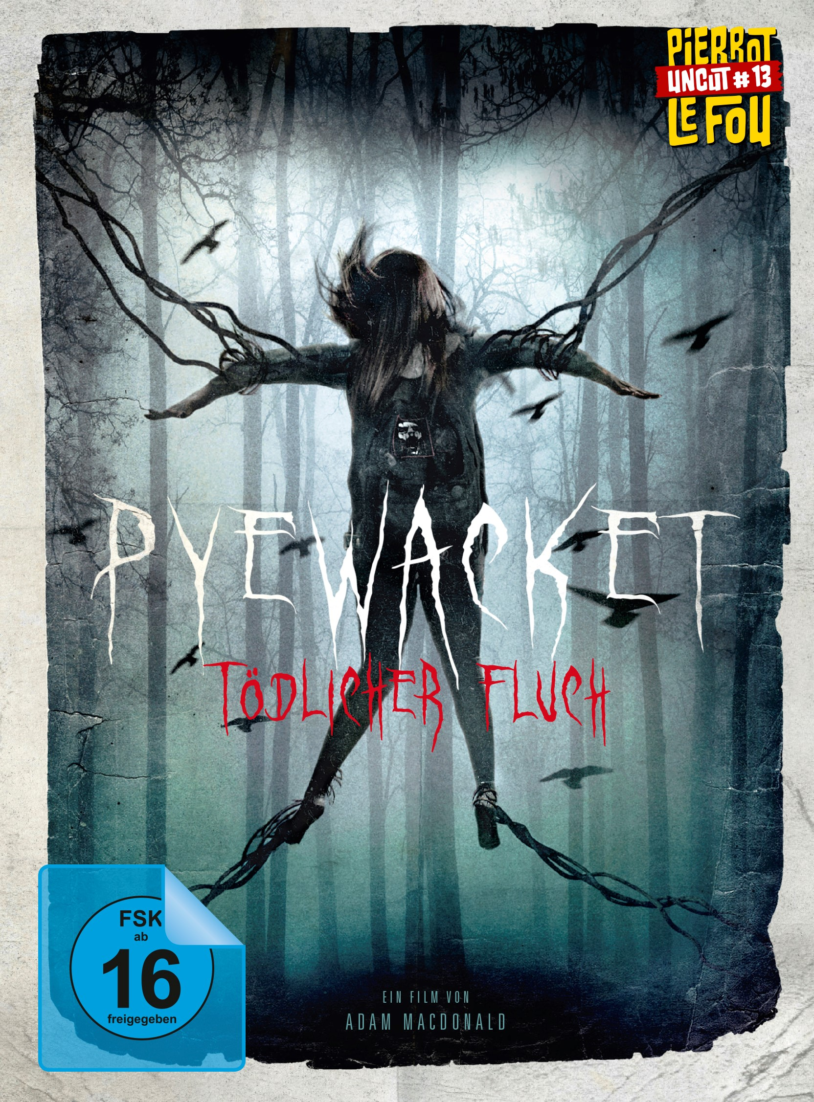 Pyewacket | Tödlicher Fluch Blu-ray + DVD online kaufen | MediaMarkt