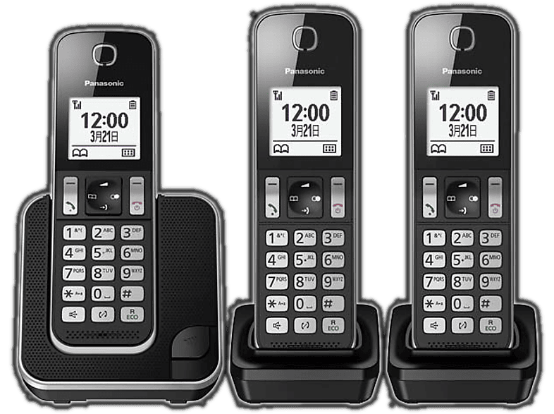 PANASONIC Draadloze telefoon KX-TGD313NLG Trio