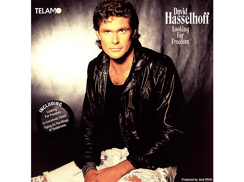 David Hasselhoff Looking for Freedom Pop Vinyl | MediaMarkt