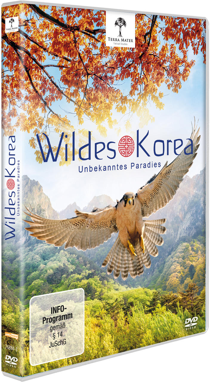 Wildes Korea DVD online kaufen | MediaMarkt