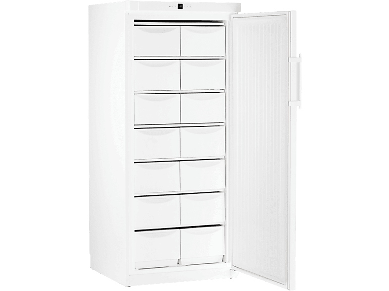 Congelador vertical | Liebherr G 5216-21 Estático, 1,72.5cm de alto ...