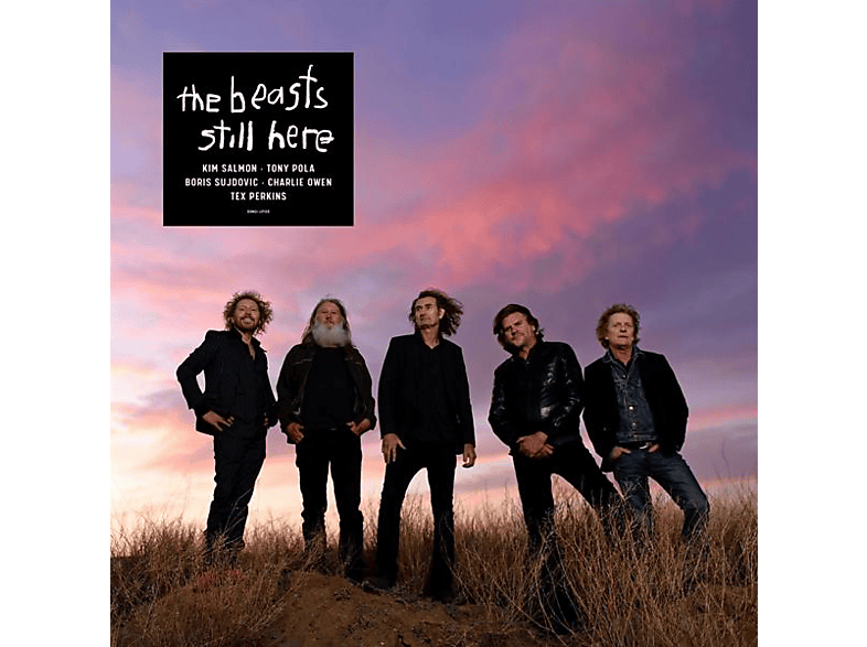The Beasts | The Beasts - Still Here - (Vinyl) Rock - MediaMarkt