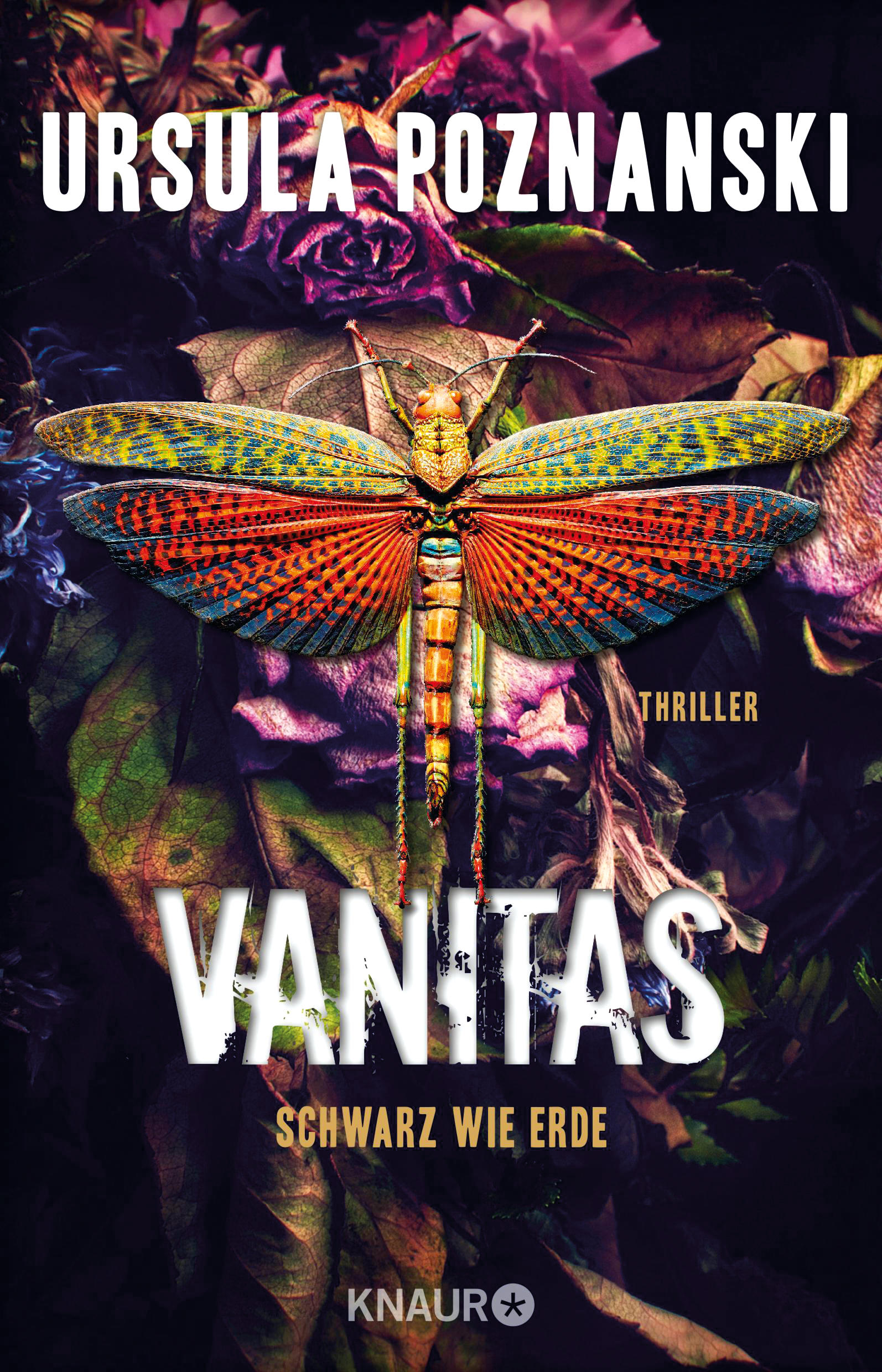 Vanitas | Schwarz wie Erde: Thriller (Die Vanitas-Reihe, Band 1 ...