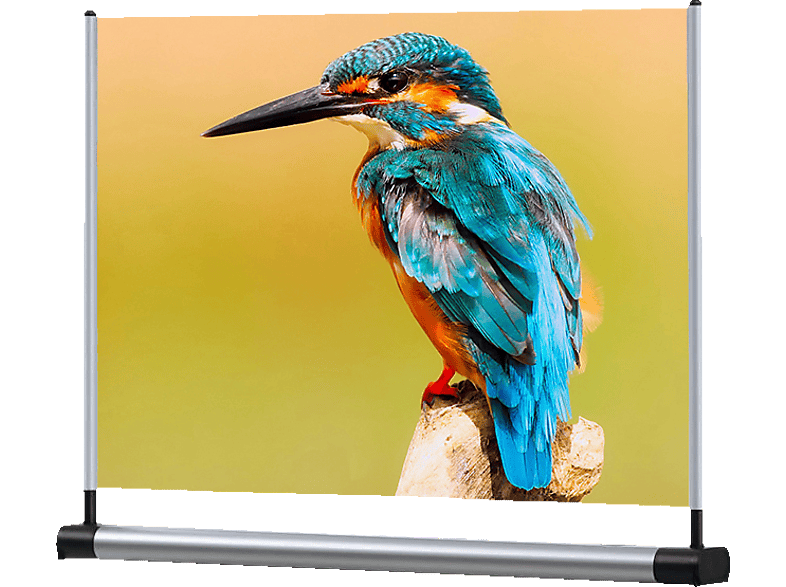 CELEXON Miniscreen 41 x 31cm (20) Tischleinwand Tischleinwand kaufen ...