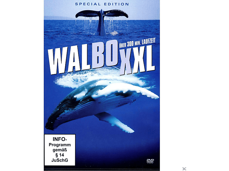 WAL BOX XXL DVD auf DVD online kaufen | SATURN